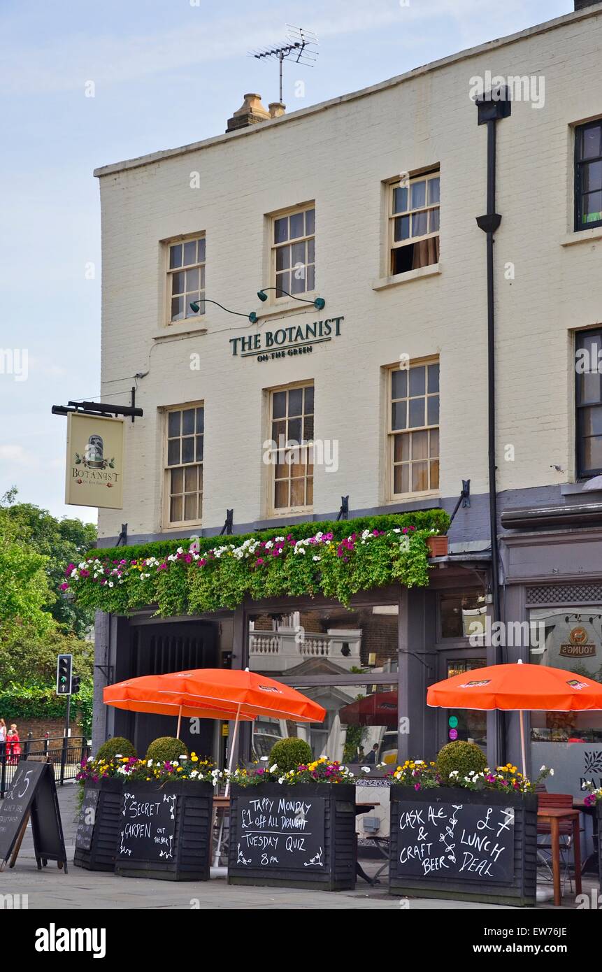 The Botanist pub, Kew Green, Kew, London, England, UK Stock Photo - Alamy