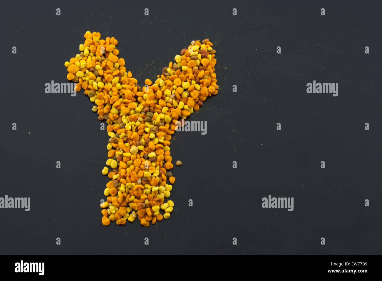 Letter Y (y) Ypsilon Greek /cyrillic, created from colourful multiple ...