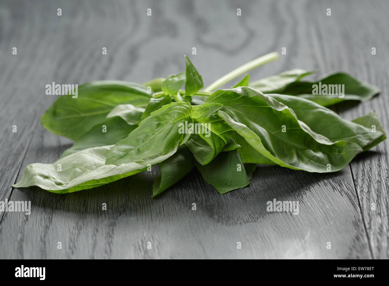 Basilic leaves hi-res stock photography and images - Alamy