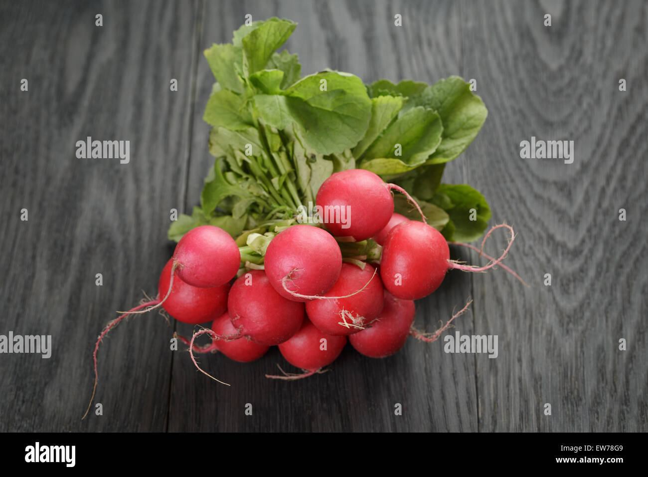 freshly harvested radishes on rustic table Stock Photo - Alamy