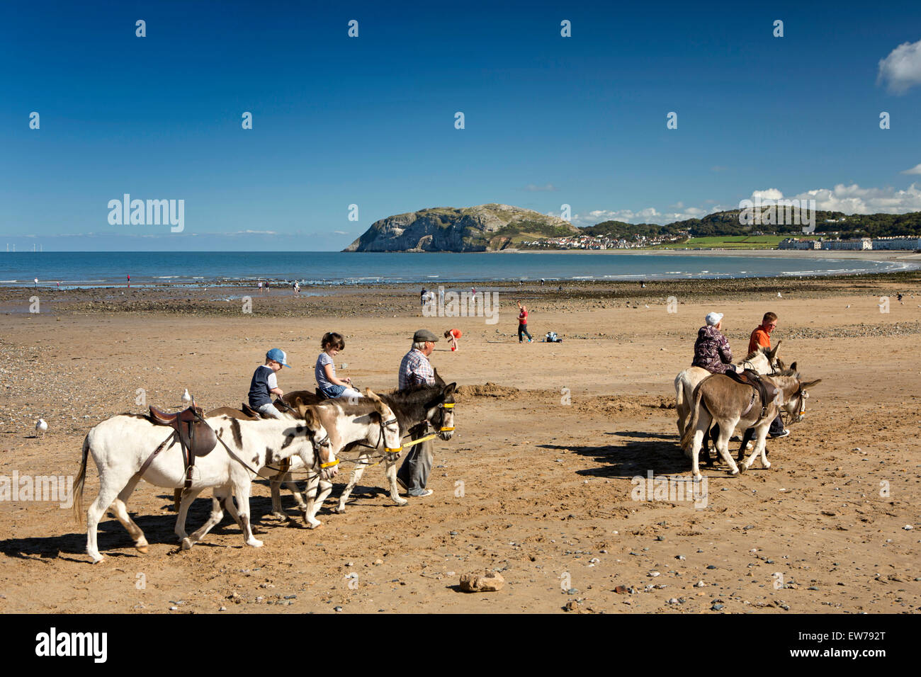 Beach Donkey Rides High Resolution Stock Photography and Images - Alamy