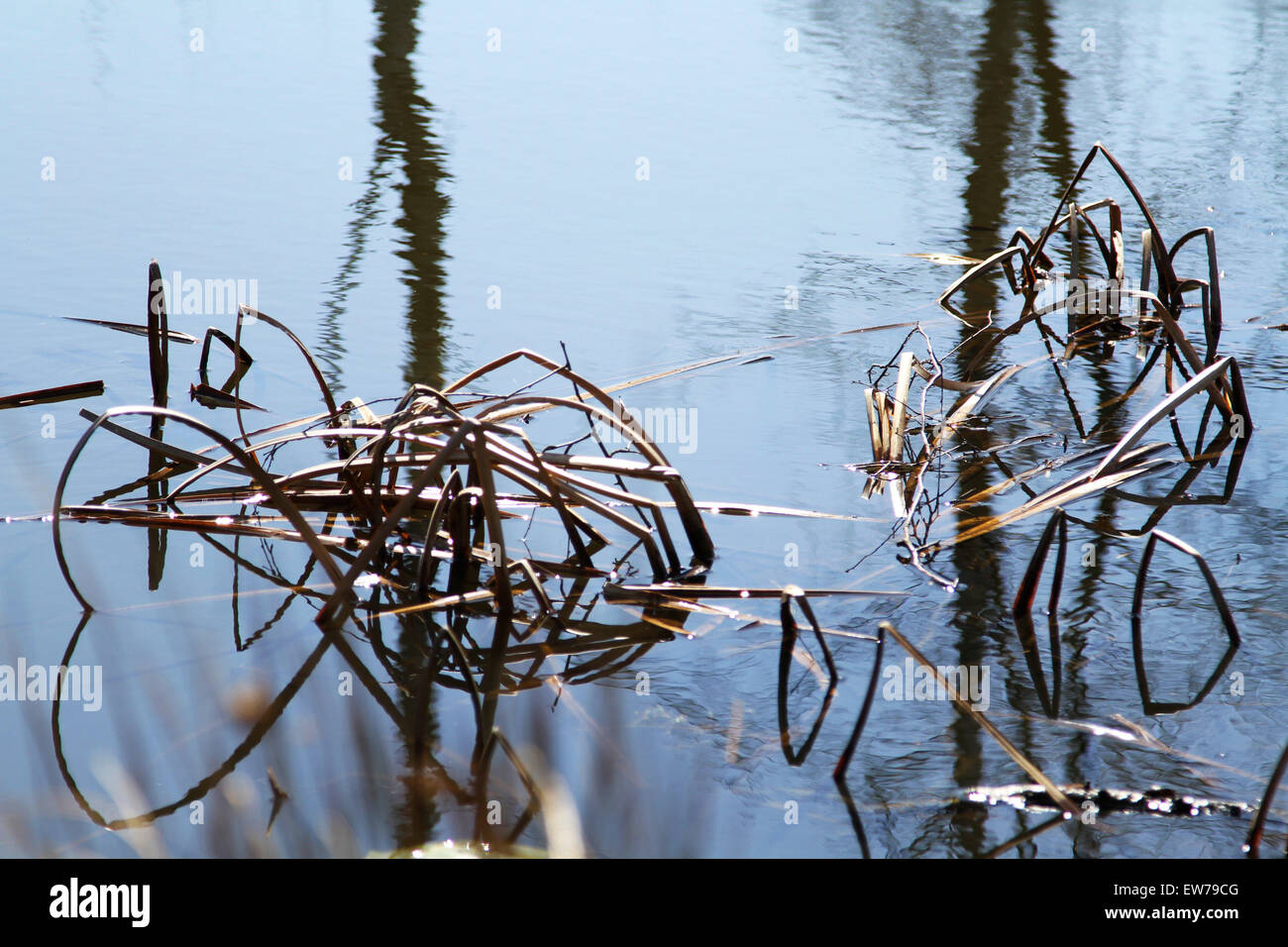 Reflections in water hi-res stock photography and images - Alamy