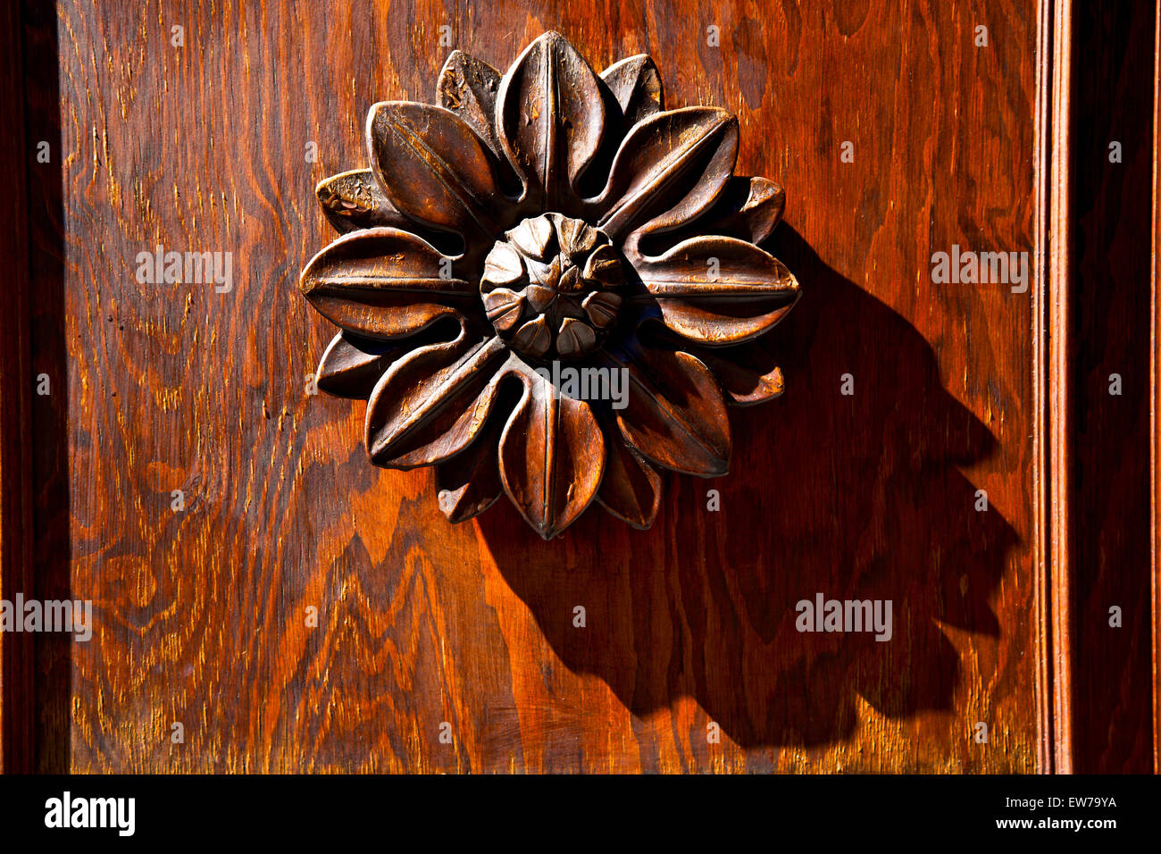 abstract flower brass brown knocker in a closed wood door castiglione ...