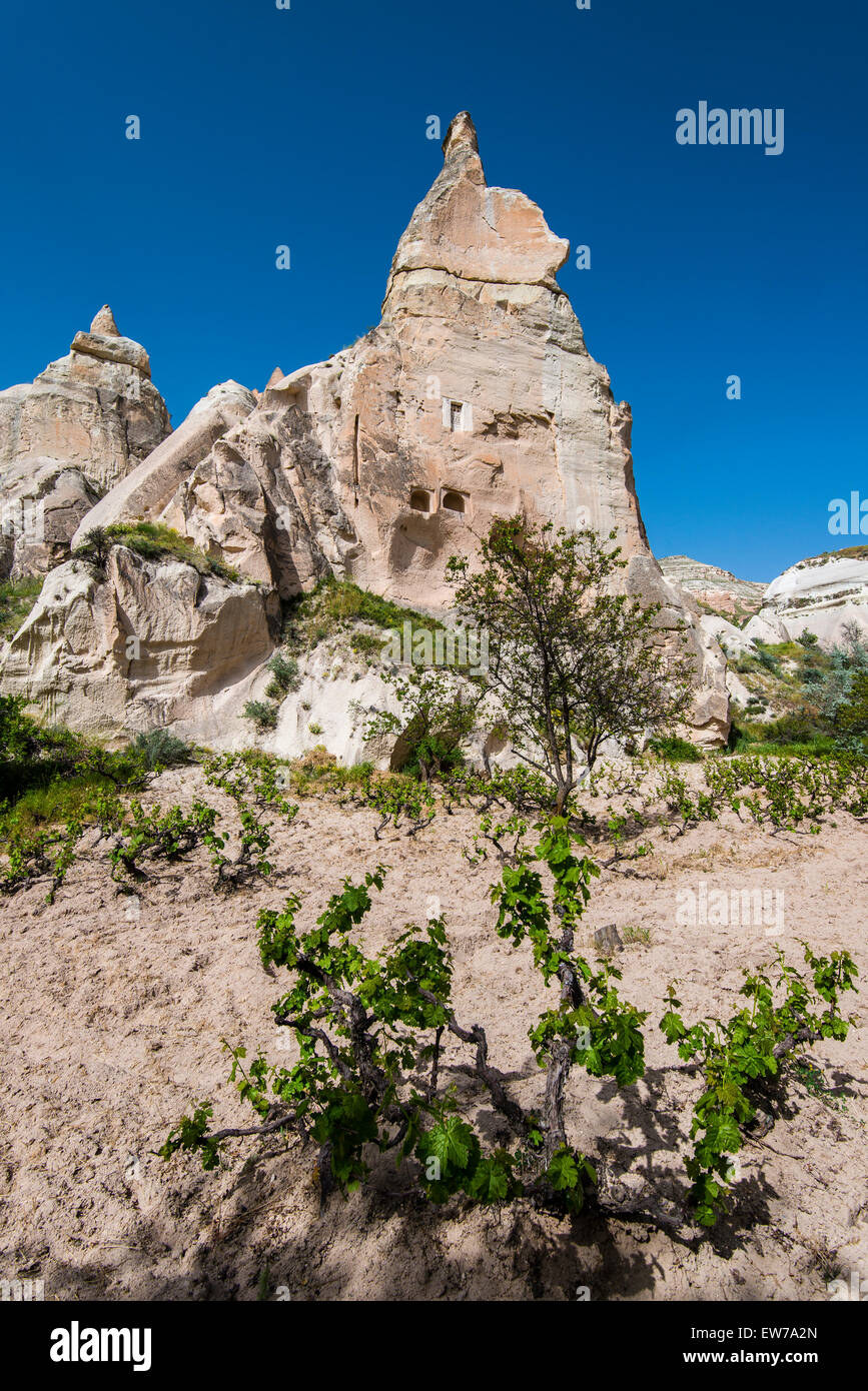 Typical fairy chimneys in Cappadocia, Turkey Stock Photo - Alamy