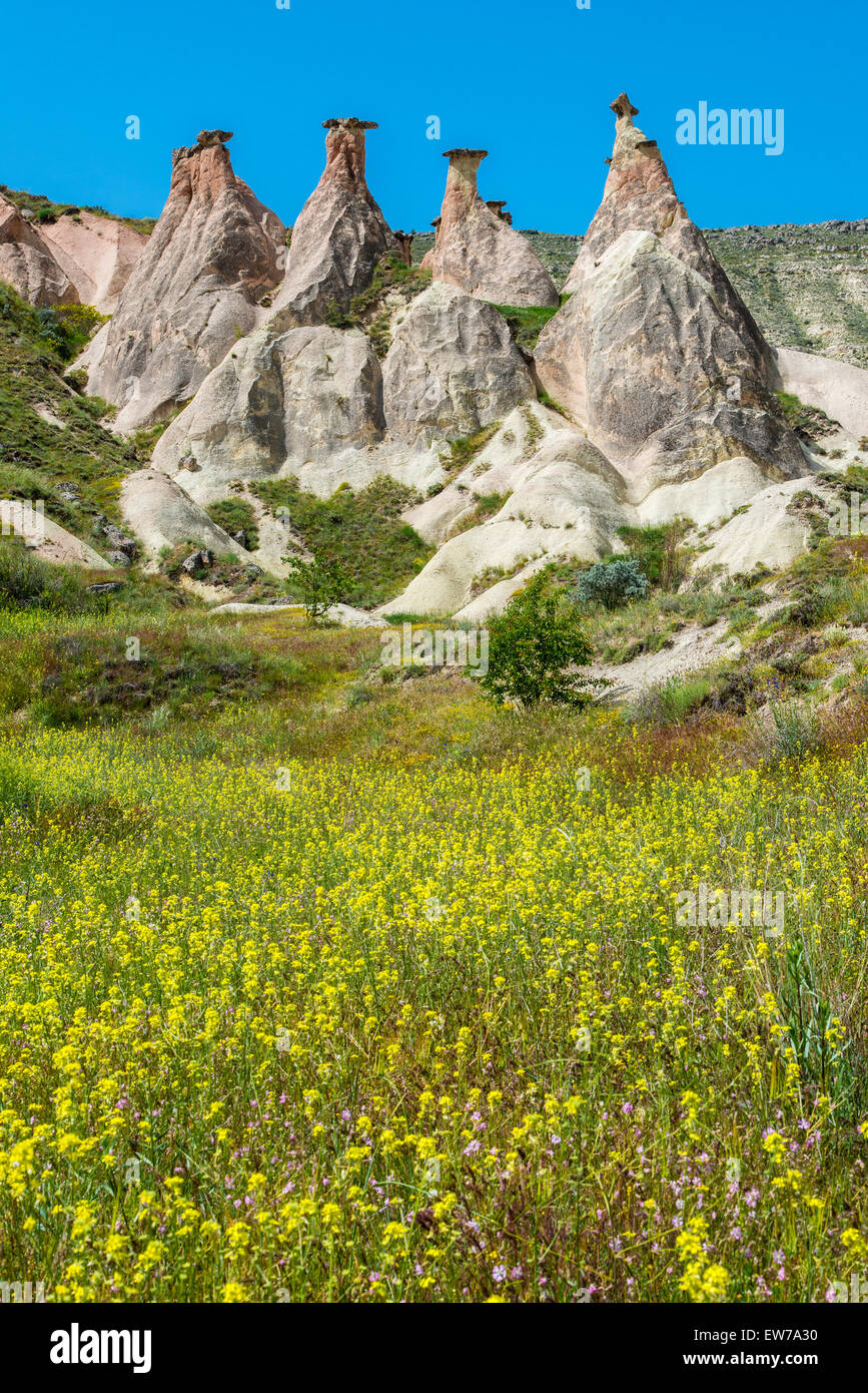 Typical fairy chimneys landscape in springtime, Pasabagi, Cappadocia ...