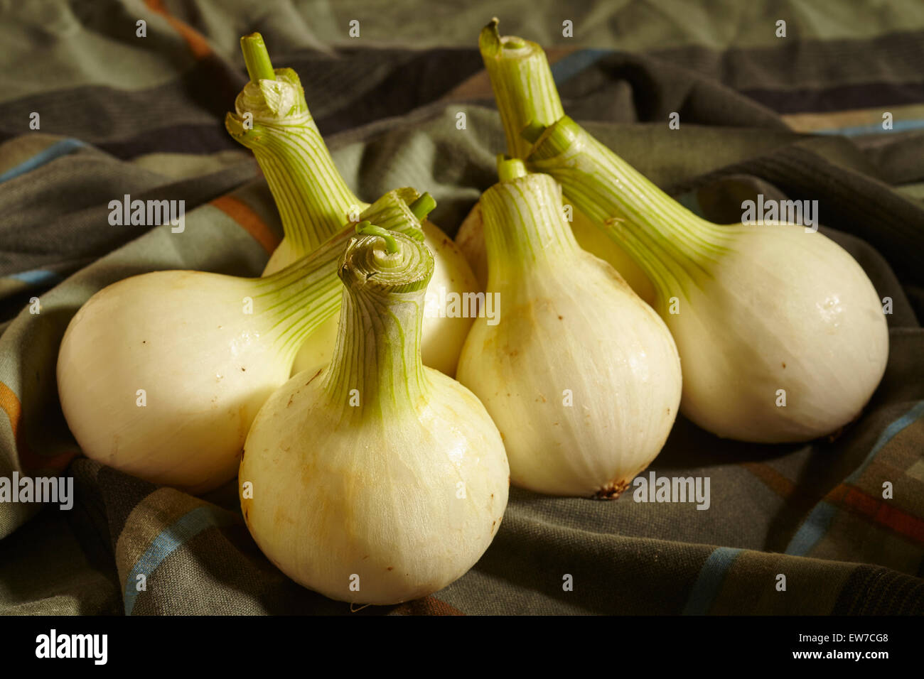 Candy onion hi-res stock photography and images - Alamy