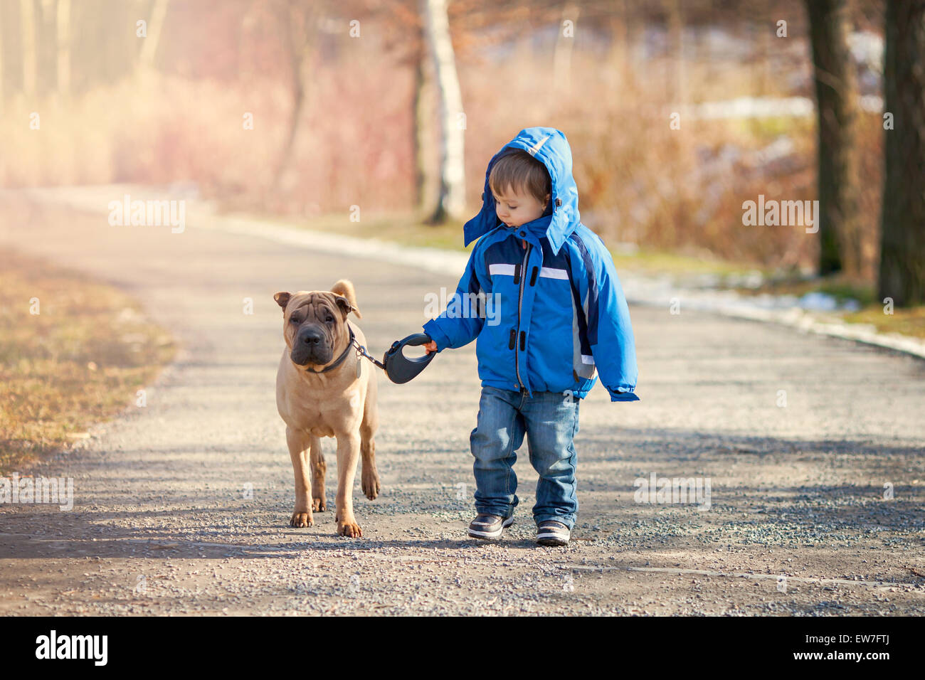 Little boy with his dog in the park, walking and smiling Stock Photo ...