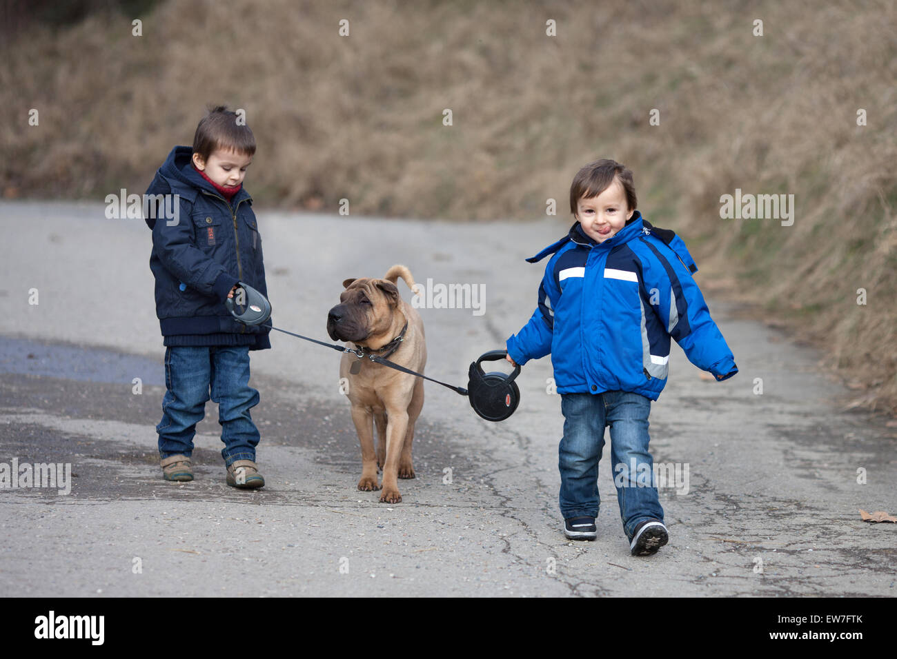 Two Little boys with their dog in the park, walking and smiling Stock ...