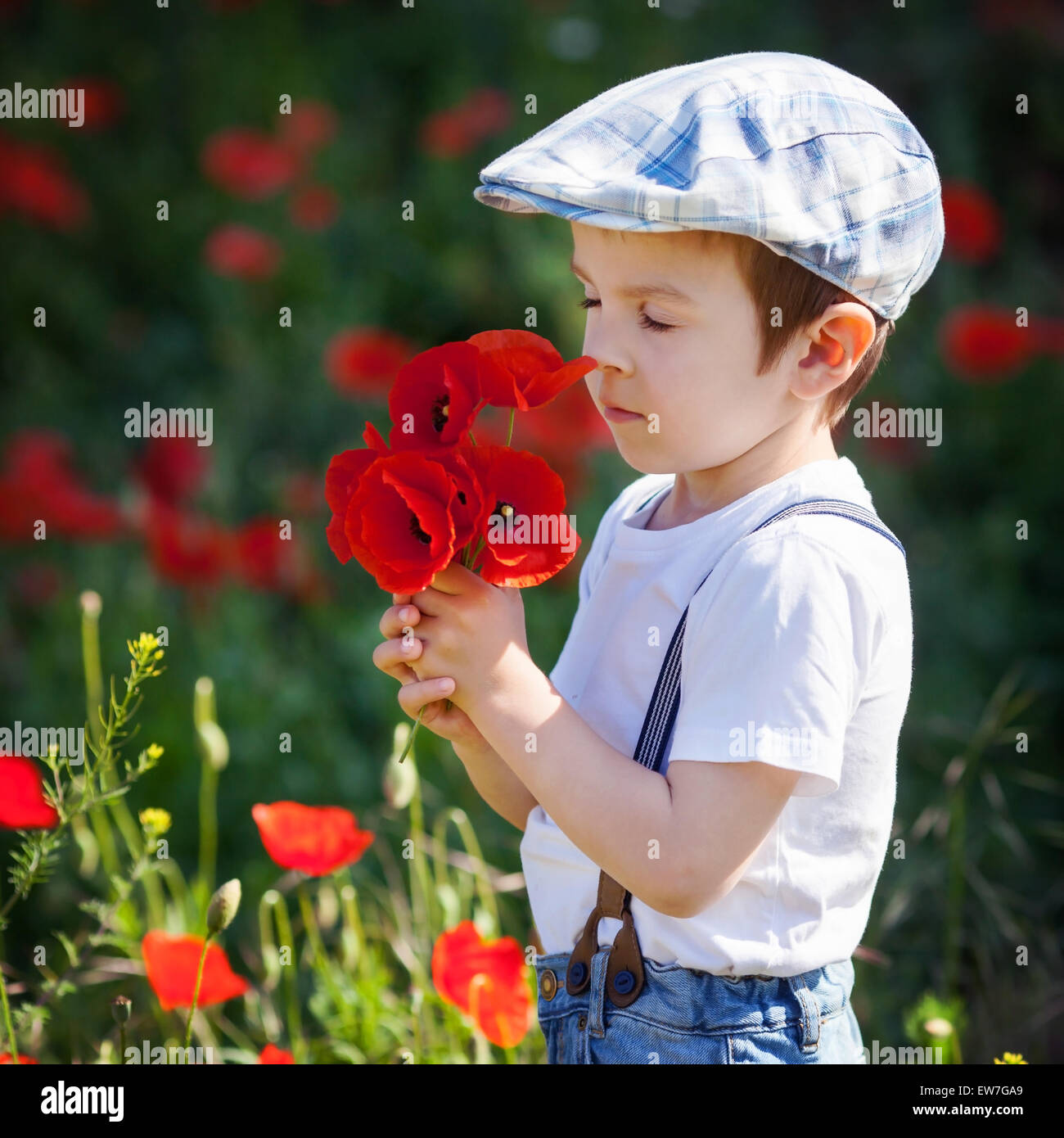 Cute little boy with poppy flower on poppy field on warm summer day ...