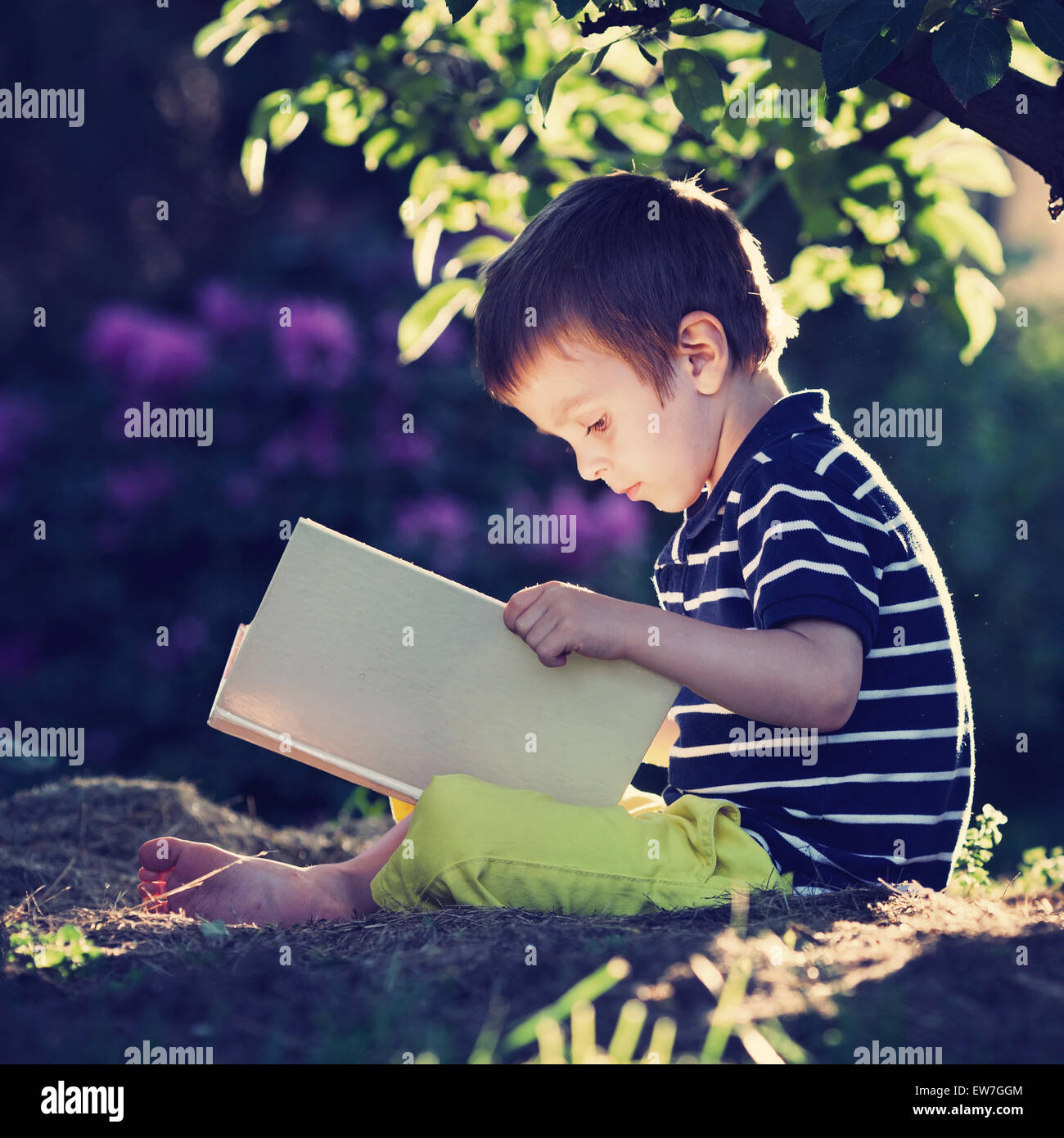 Beautiful kid boy, reading a book in garden, sitting next to a tree ...