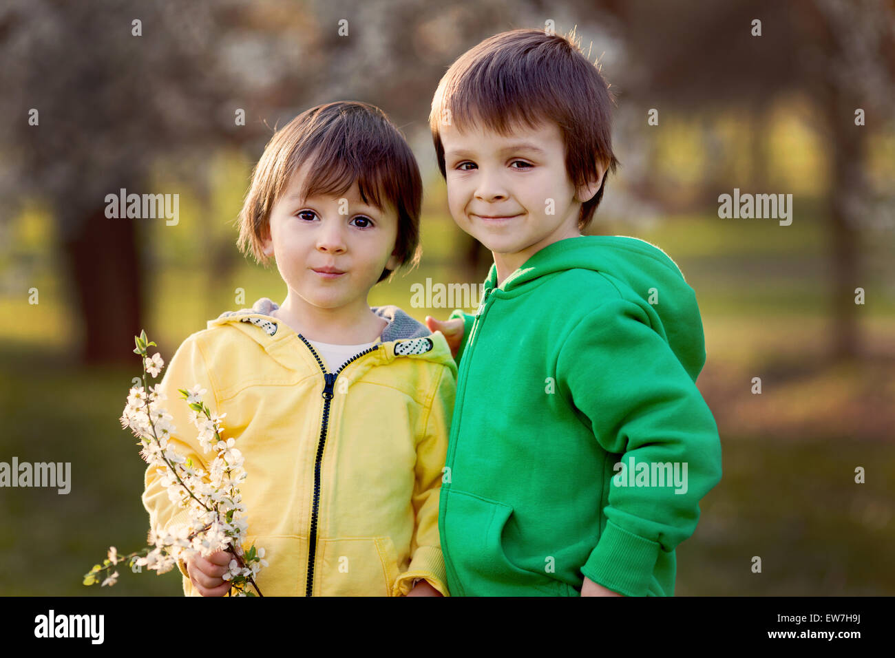 Two little kids in the park, having fun under a blooming tree Stock ...