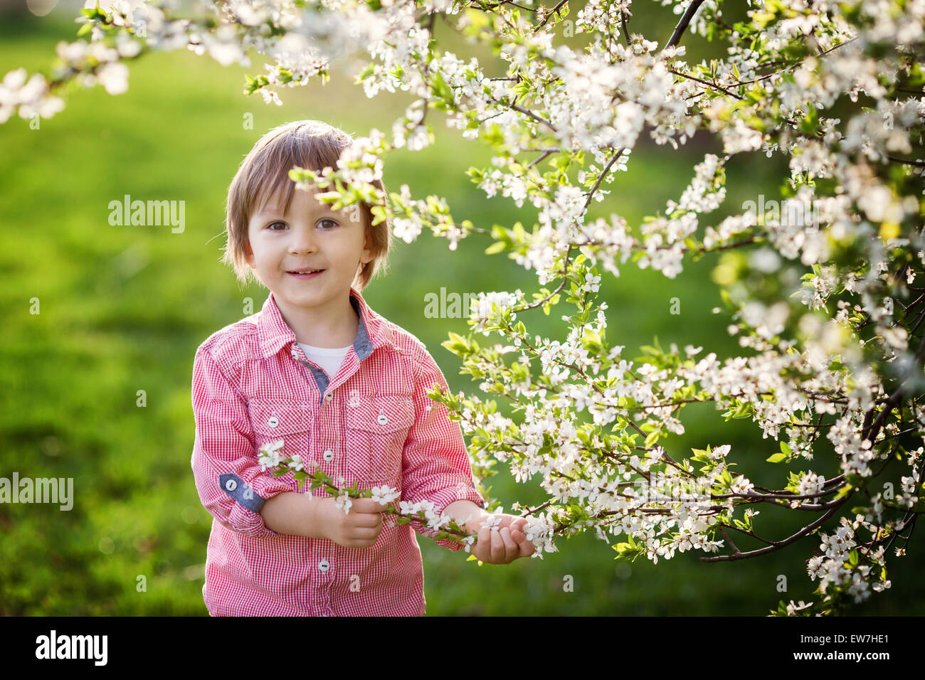 Adorable happy kid outdoors on spring day in beautiful blooming garden ...