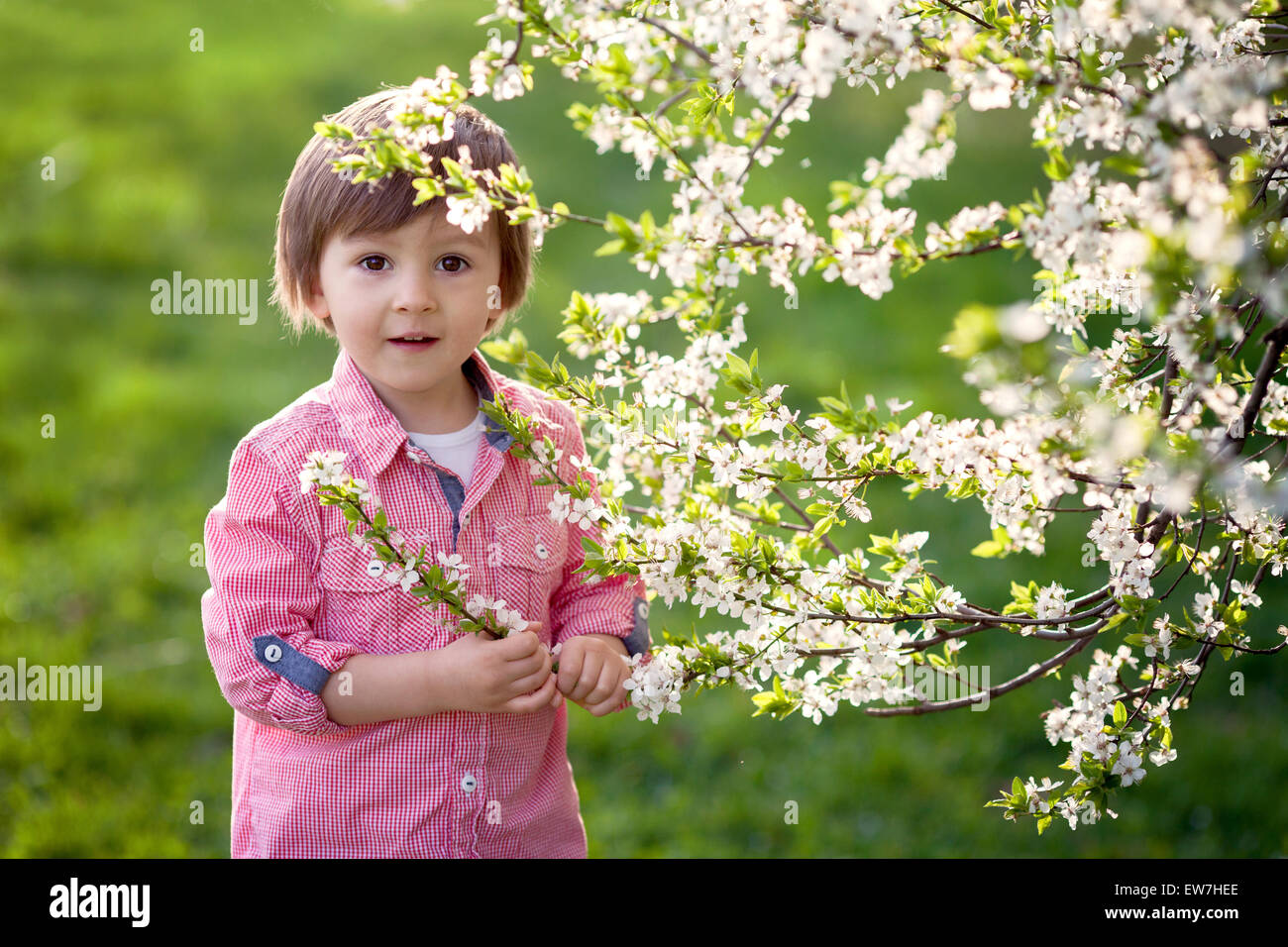 Adorable happy kid outdoors on spring day in beautiful blooming garden ...