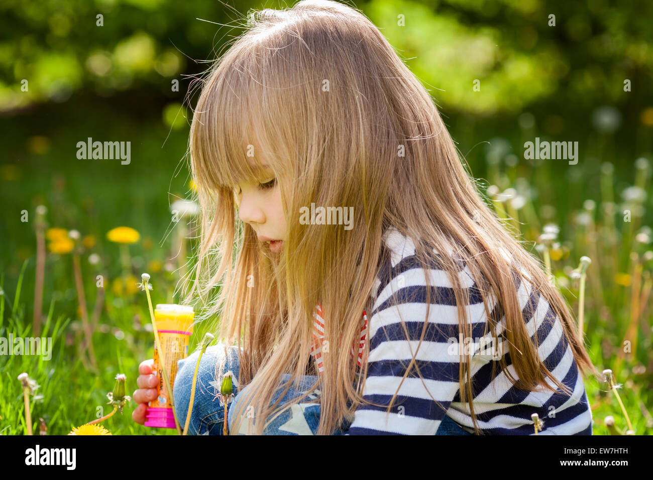 Cute little girl on the meadow in summer day, gathering dandelions ...