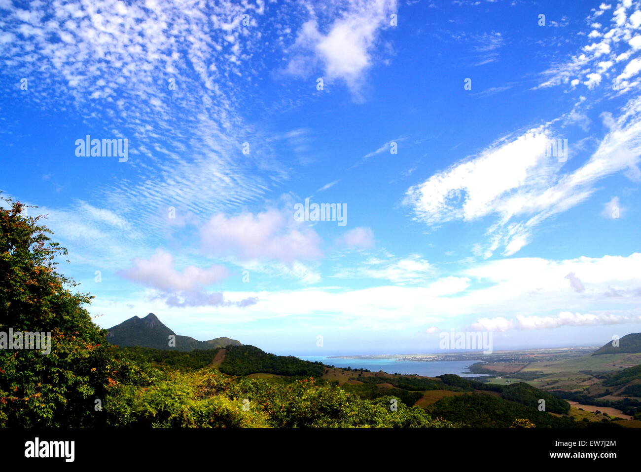Mauritius wild animals hi-res stock photography and images - Alamy