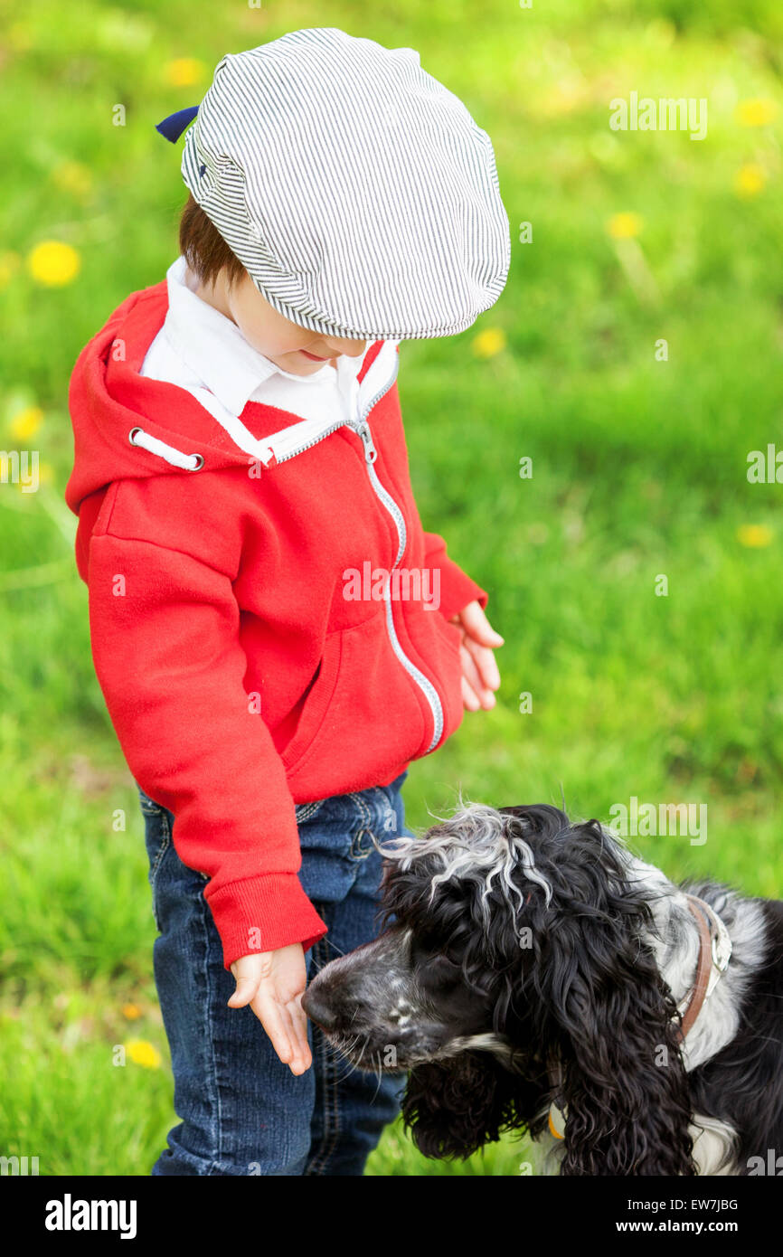 Cute laughing boy and his dog, playing in the park, springtime, daytime ...