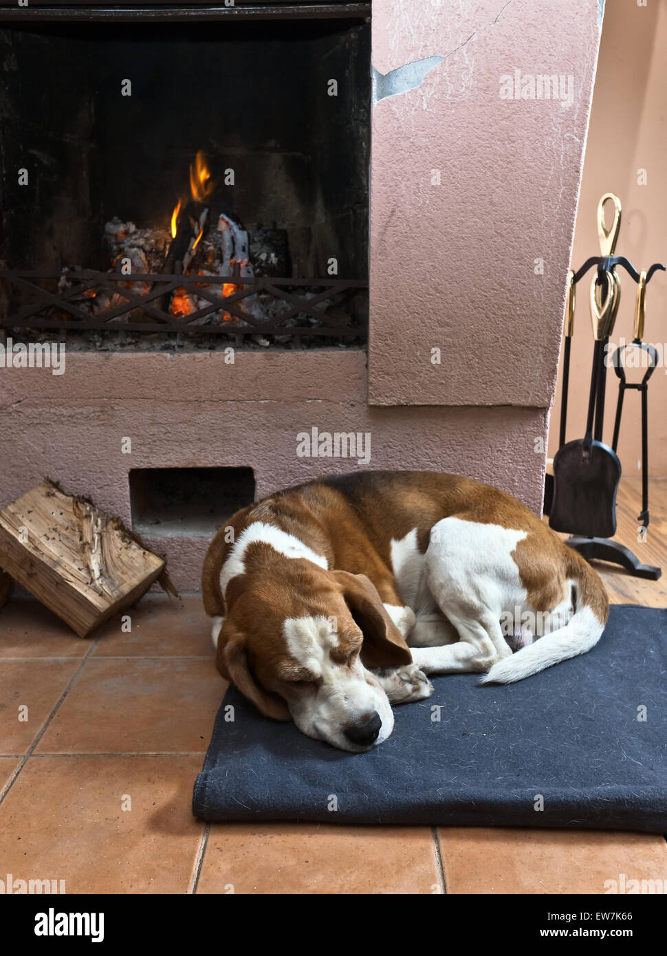 dog resting near to a warm fireplace Stock Photo - Alamy