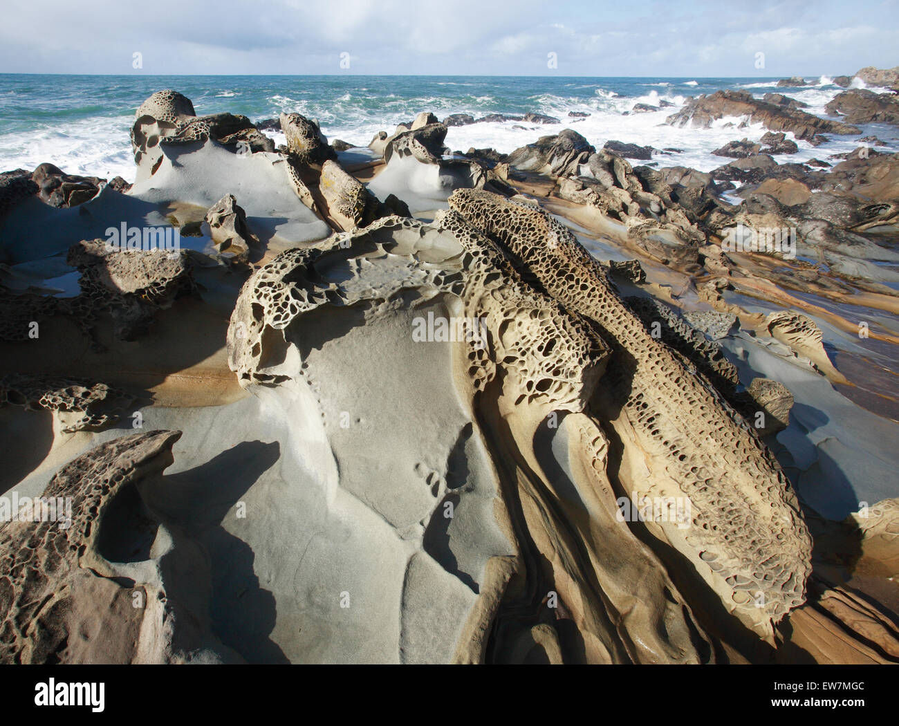 Tafoni formation, Salt Point State Park Stock Photo - Alamy