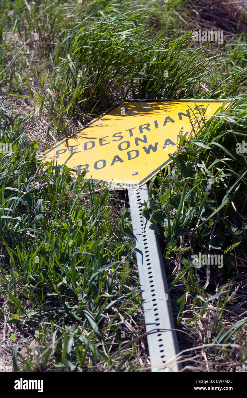 Sign laying in grass "Pedestrian in roadway Stock Photo - Alamy