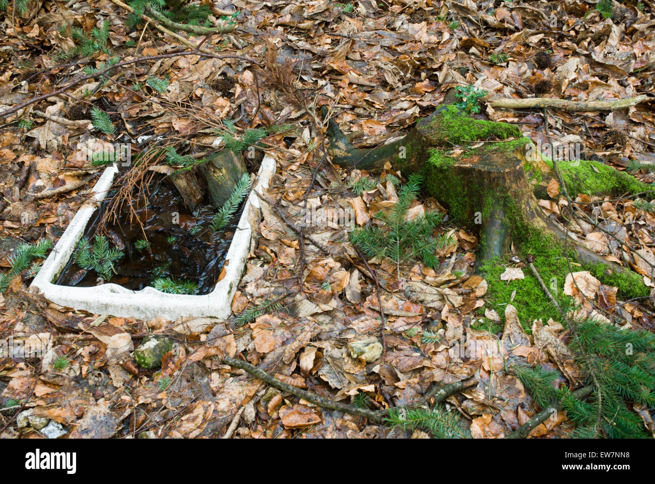 A Belfast sink discarded in woodland Stock Photo - Alamy