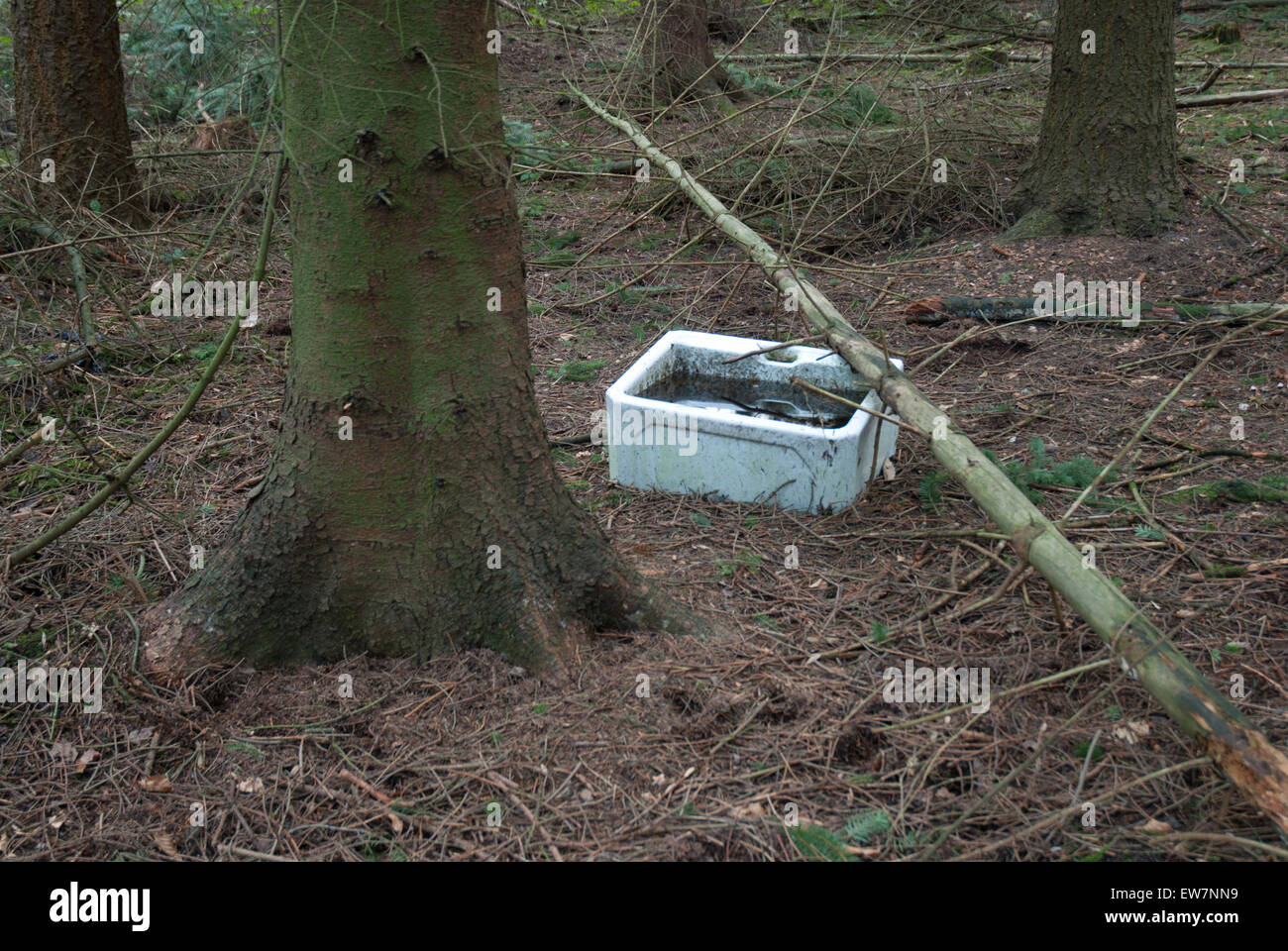 A Belfast sink discarded in woodland Stock Photo - Alamy