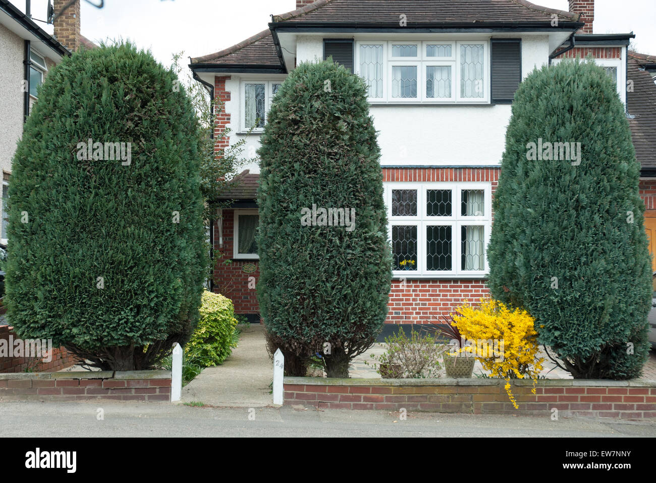 Bushes in front garden of detached house Stock Photo - Alamy