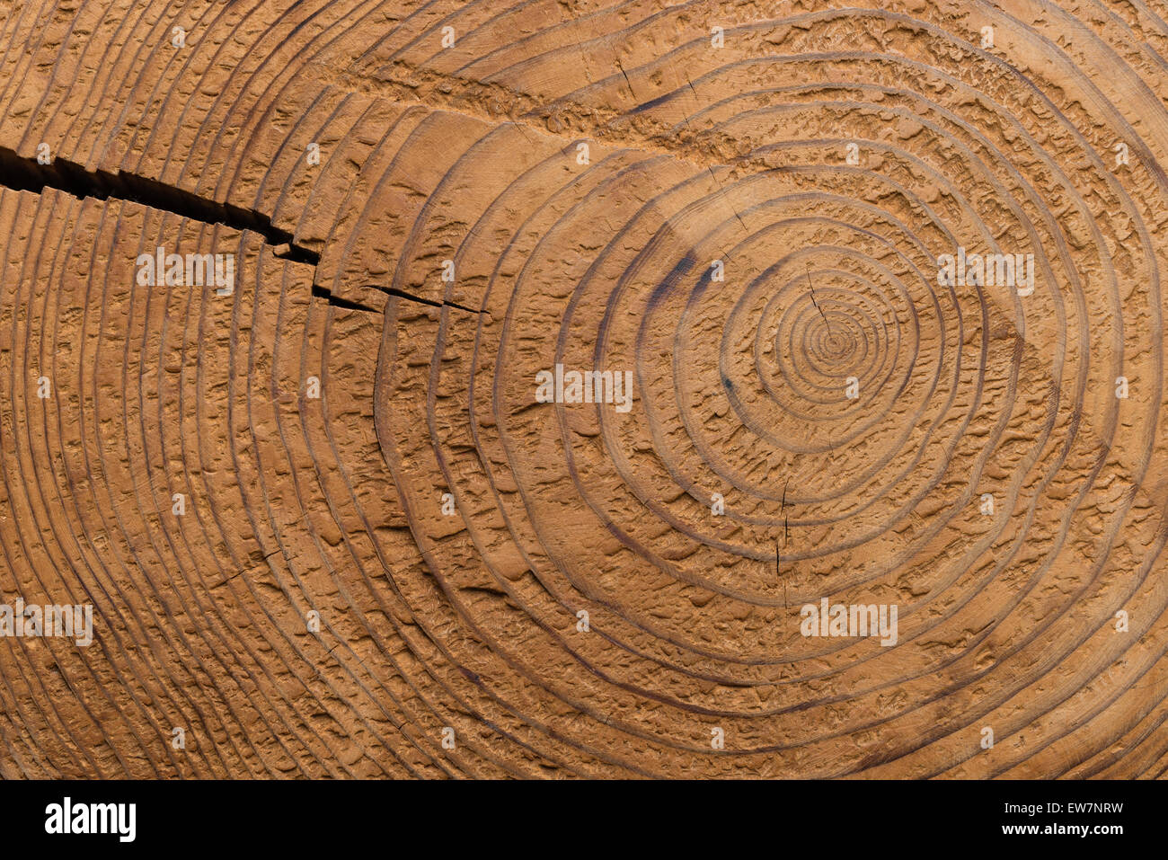 Grain texture hi-res stock photography and images - Alamy