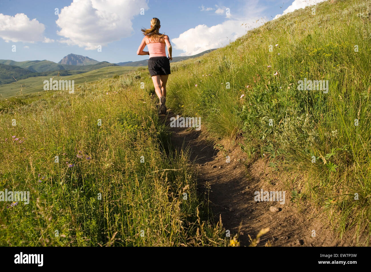 Woman trail running, Colorado Stock Photo - Alamy