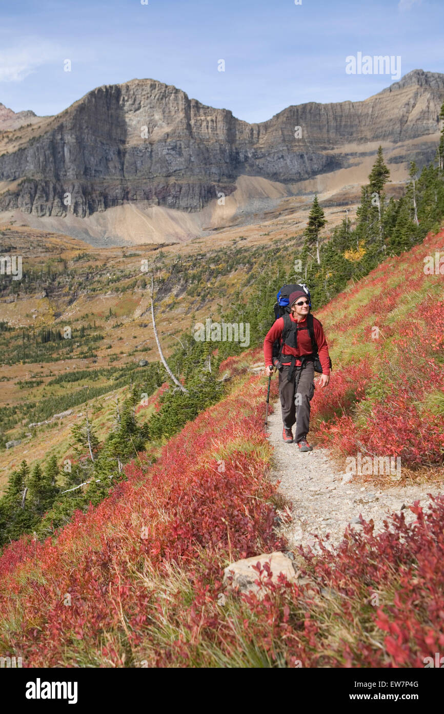 Thorough hi-res stock photography and images - Alamy