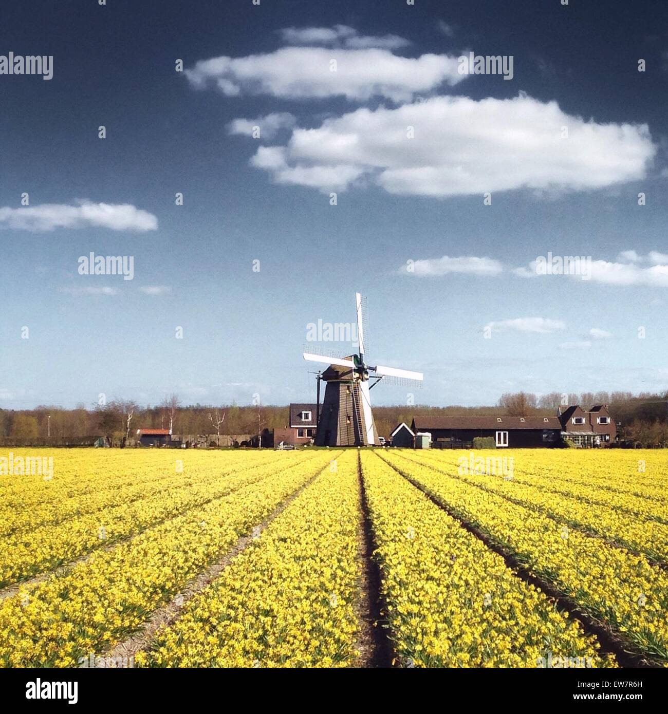 Dutch scenics hi-res stock photography and images - Alamy