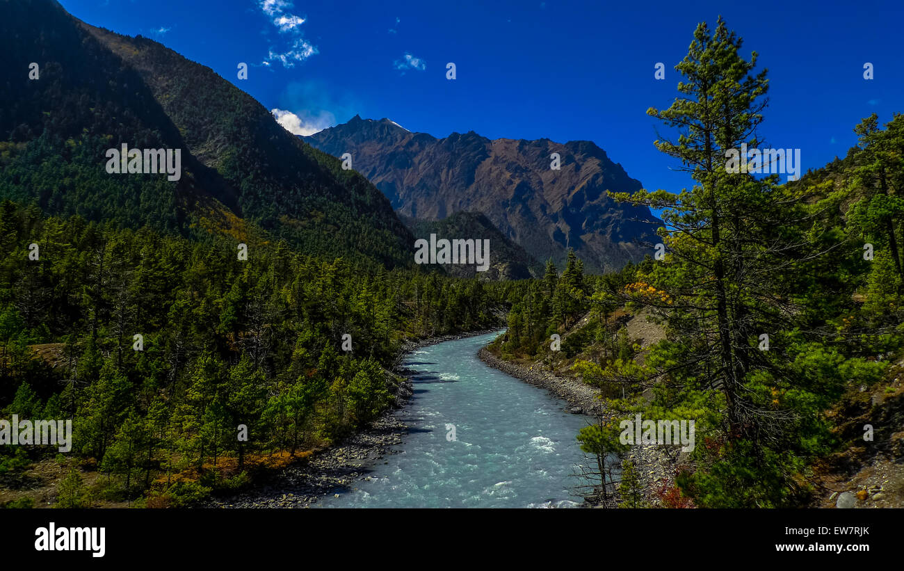 Pisan hi-res stock photography and images - Alamy