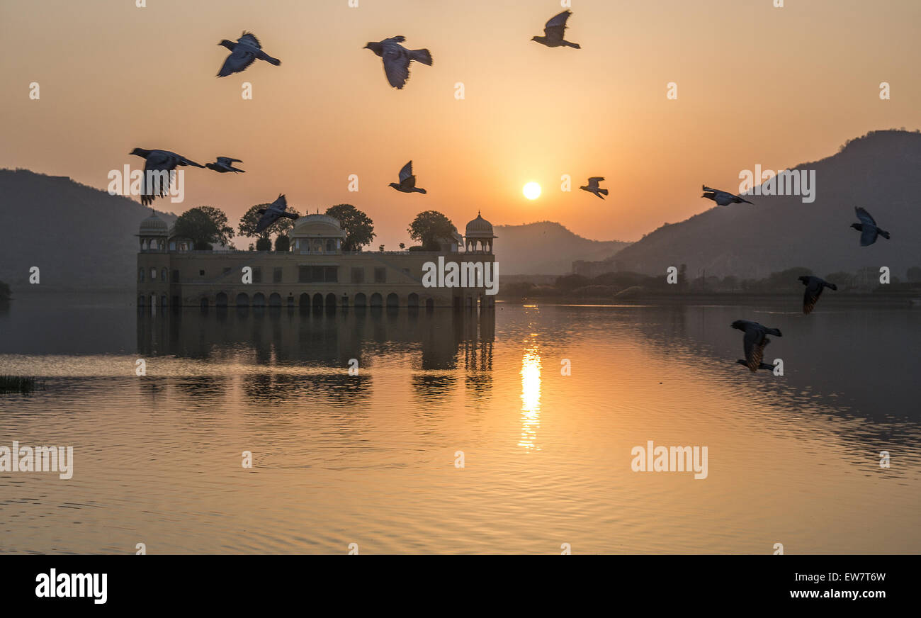Birds flying over jal mahal palace at sunrise hi-res stock photography ...