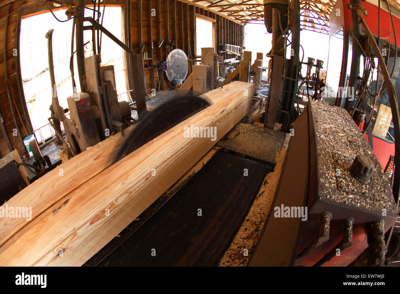 A large Hemlock log runs through the main blade at the Sunrise Sawmill ...