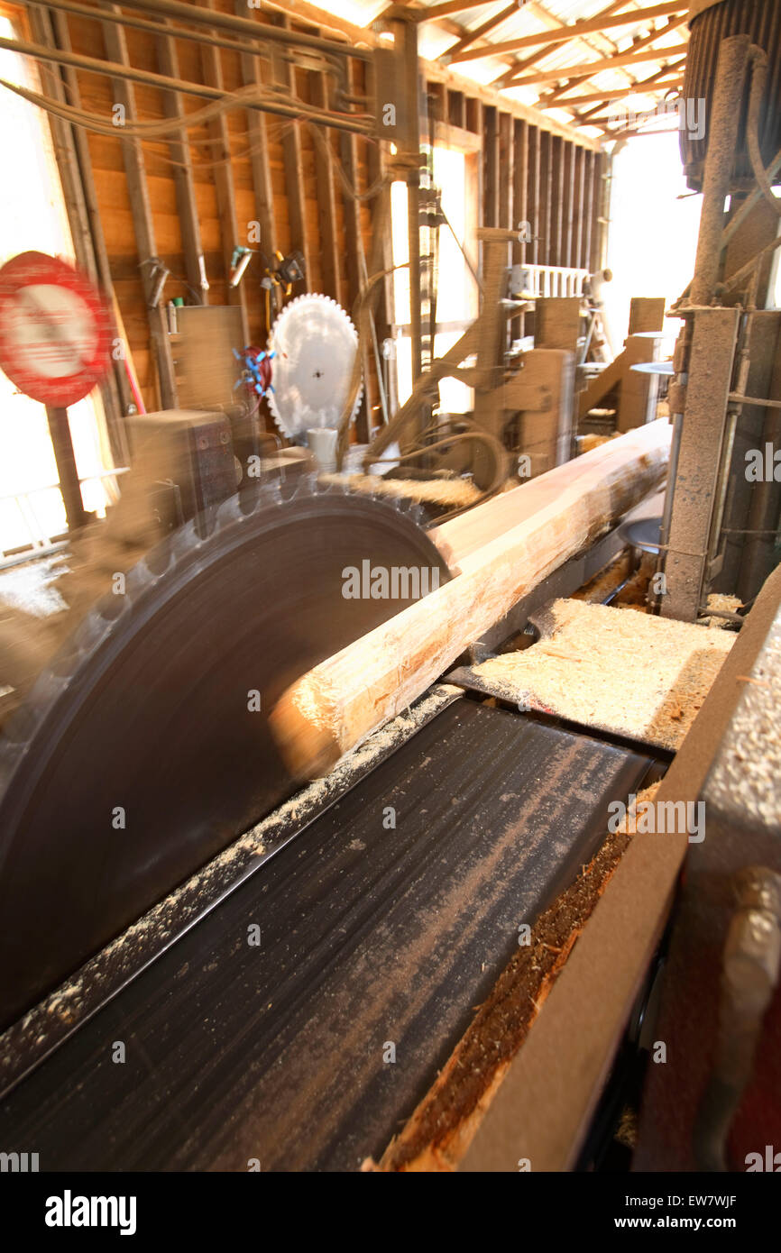 Hemlock log hi-res stock photography and images - Alamy