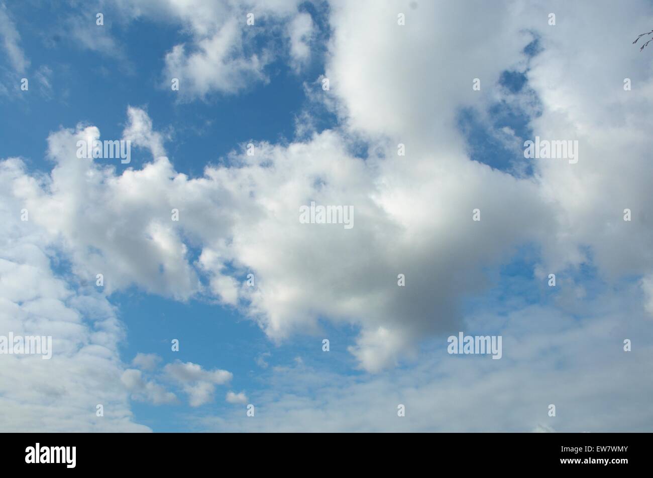 Fluffy interestingly shaped cloud floating among others Stock Photo - Alamy