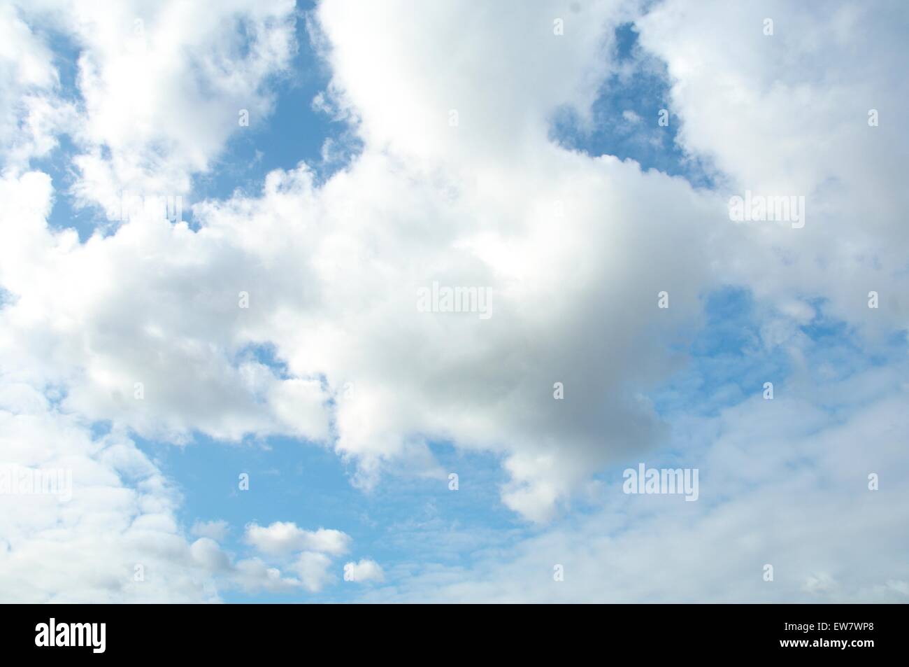 Chunky fluffy cloud floating among other fluffy clouds Stock Photo - Alamy