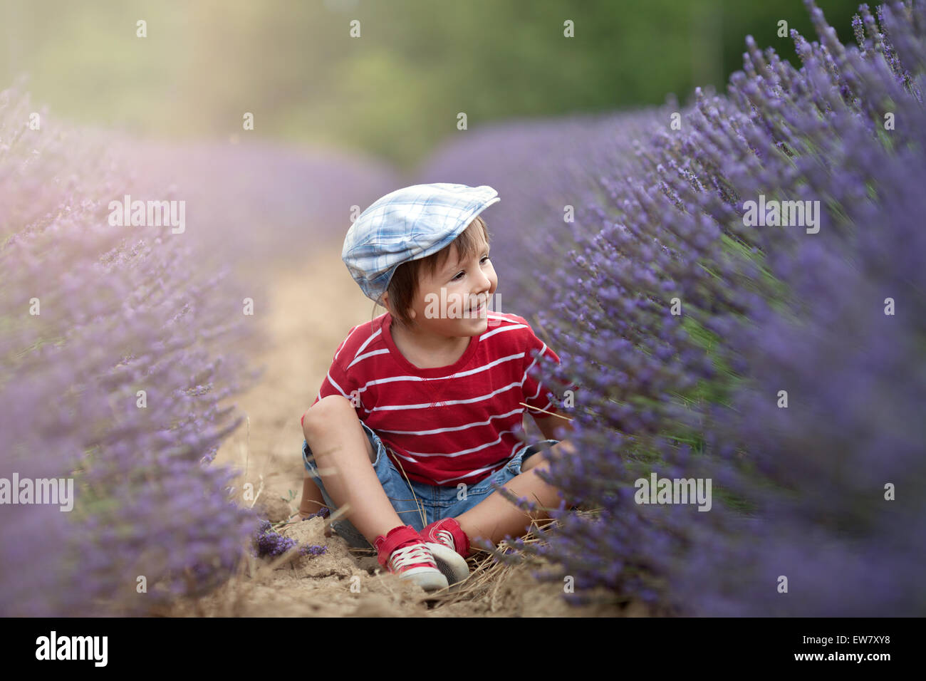 Little fashionable boy having fun in lavender field in the summer Stock ...