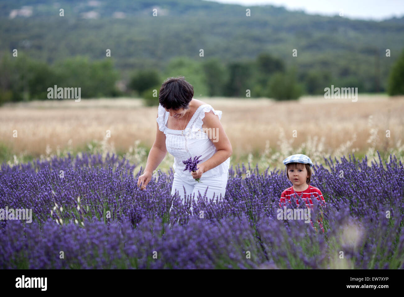 Little fashionable boy having fun in lavender field in the summer Stock ...