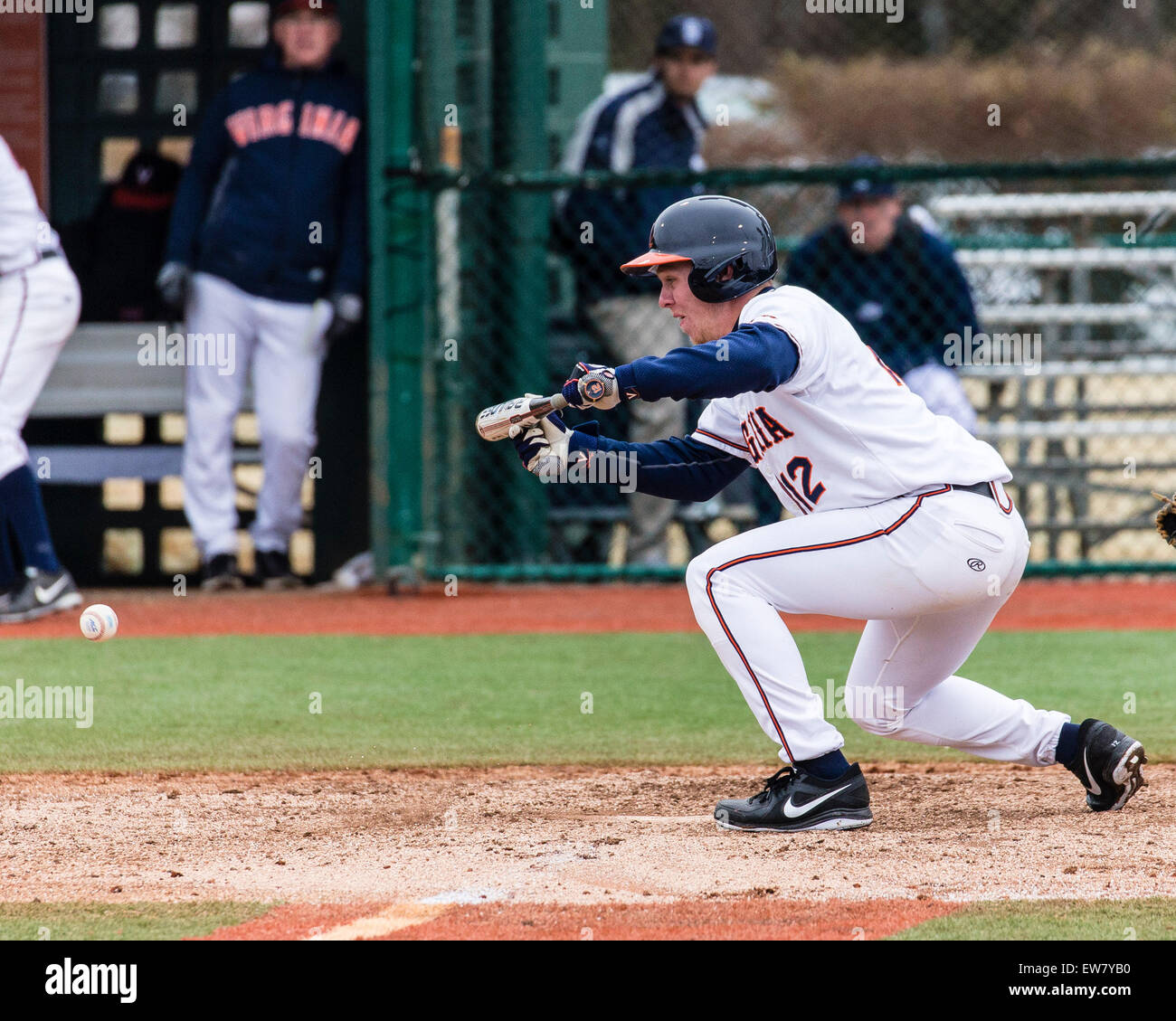 Cornell baseball hi-res stock photography and images - Alamy