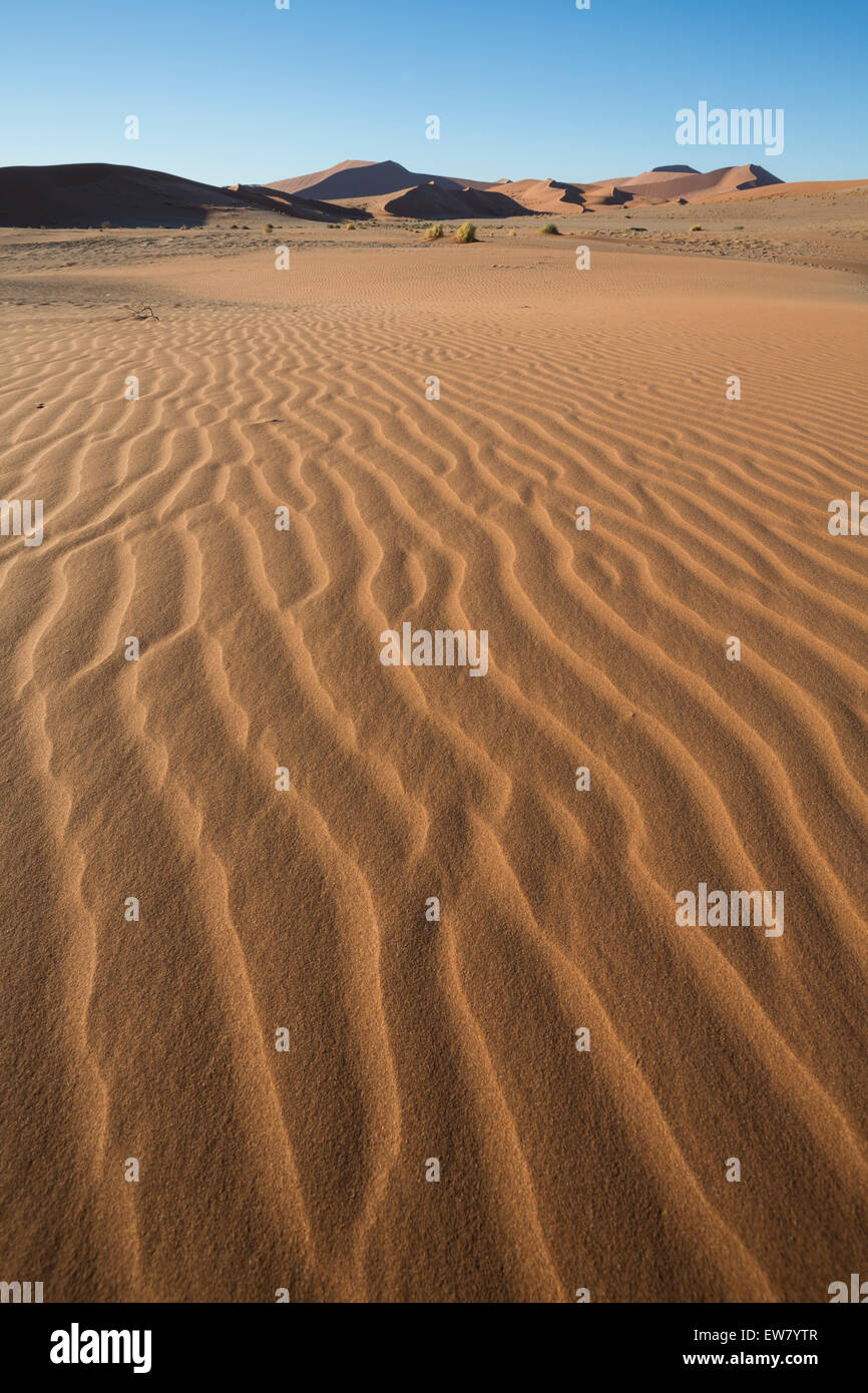 Desert patterns in southern africa hi-res stock photography and images ...