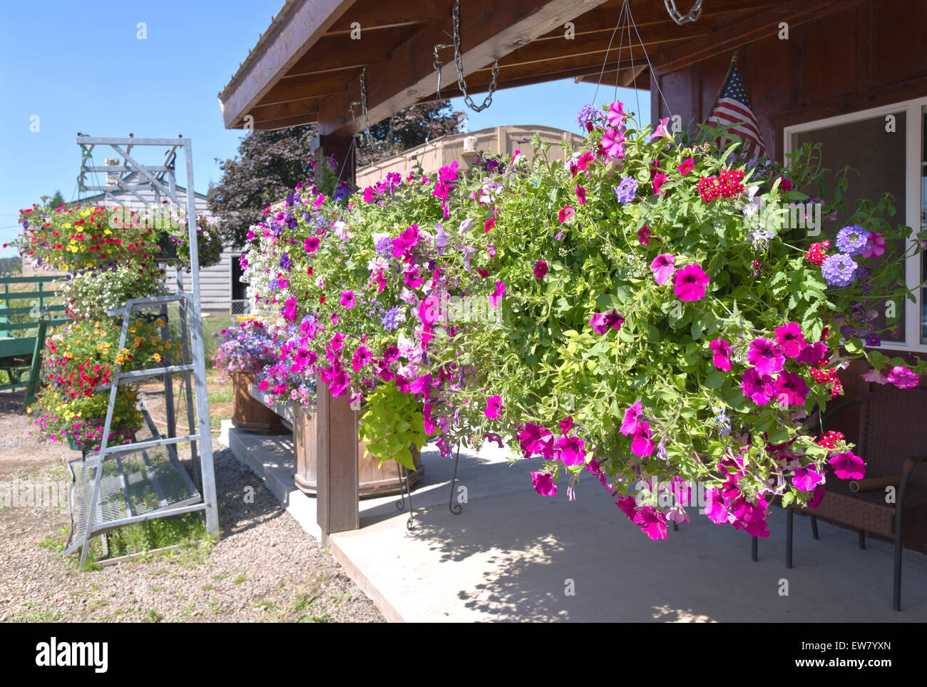 Flower basket and racks with flower displays outside a country store ...