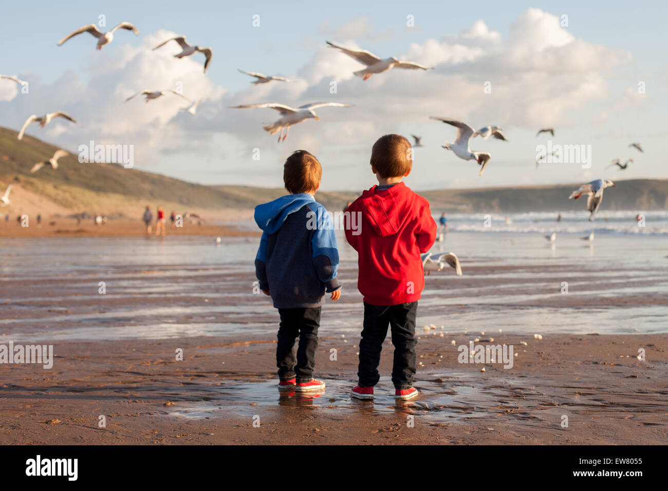 Boy chasing seagulls High Resolution Stock Photography and Images - Alamy