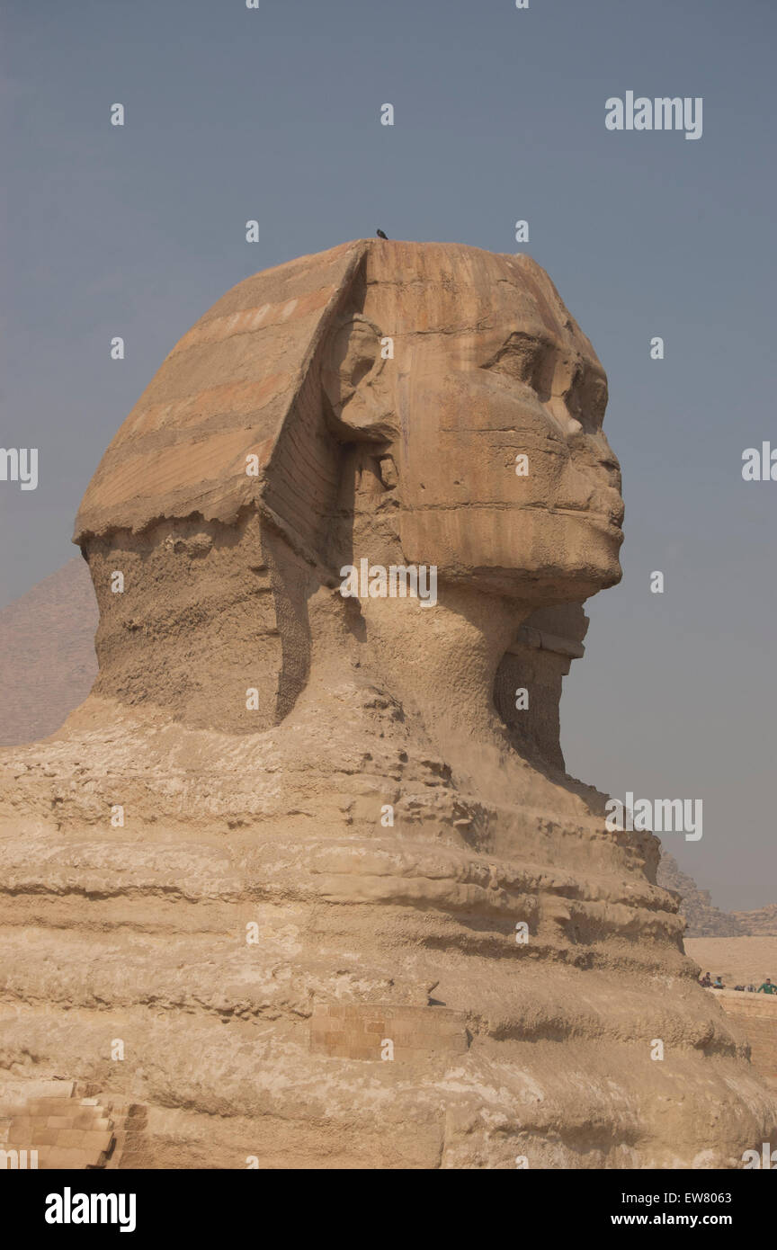 Profile of Sphinx in Cairo, Egypt Stock Photo - Alamy