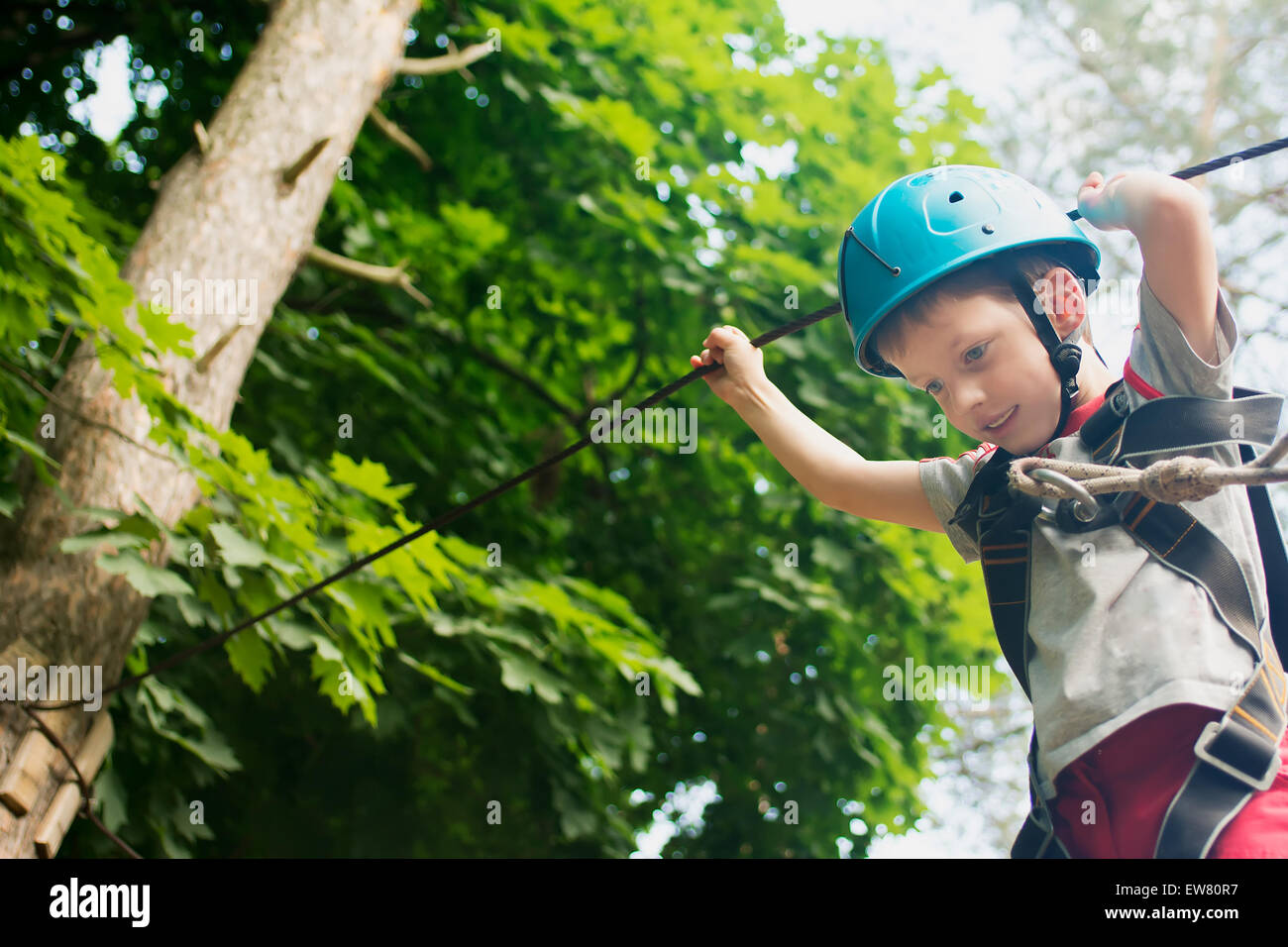 Five year boy on rope-way in forest Stock Photo - Alamy