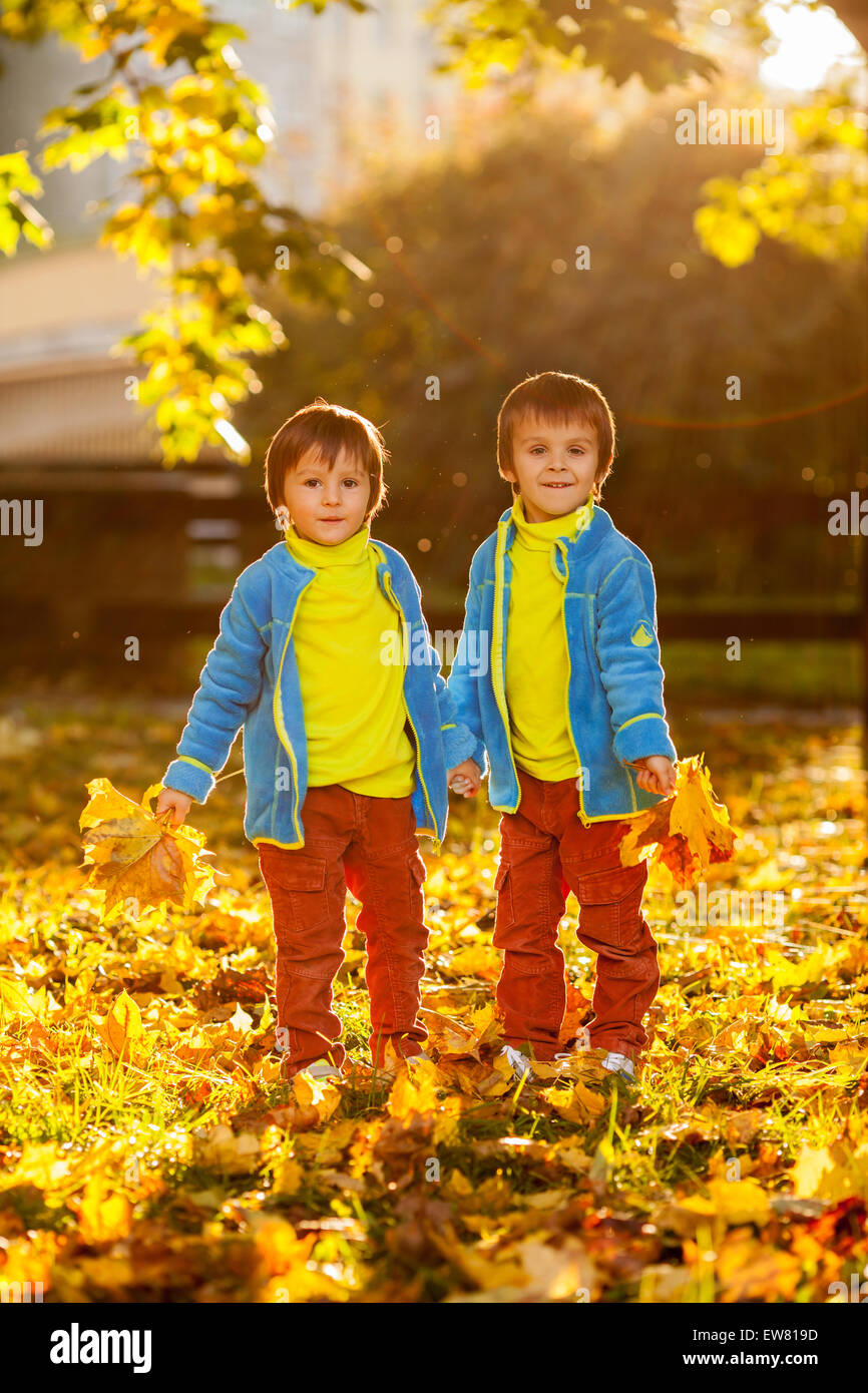 Two boys in the park on sunset, playing with leaves, beautiful back ...