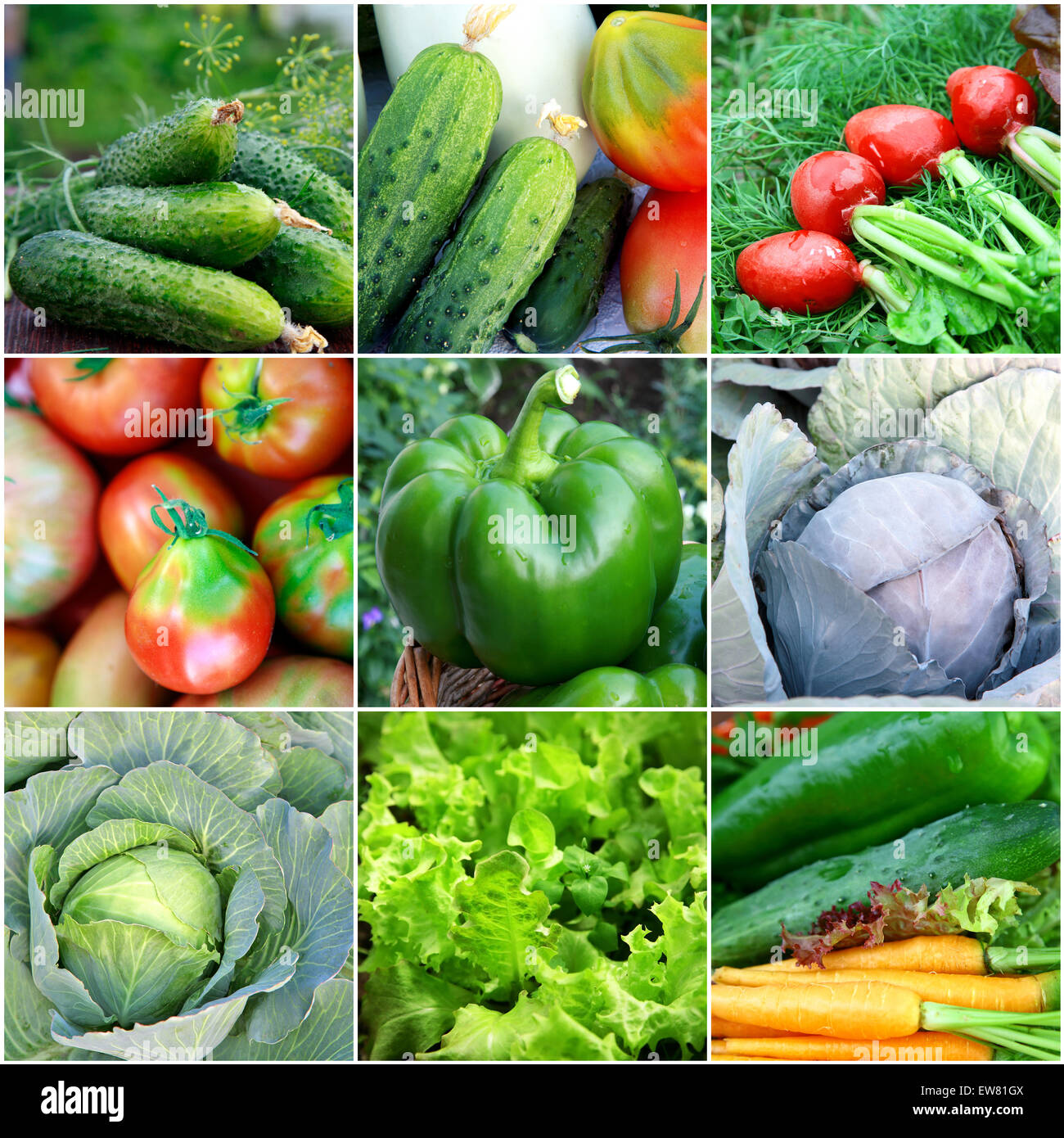 Collage vegetables tomato hi-res stock photography and images - Alamy