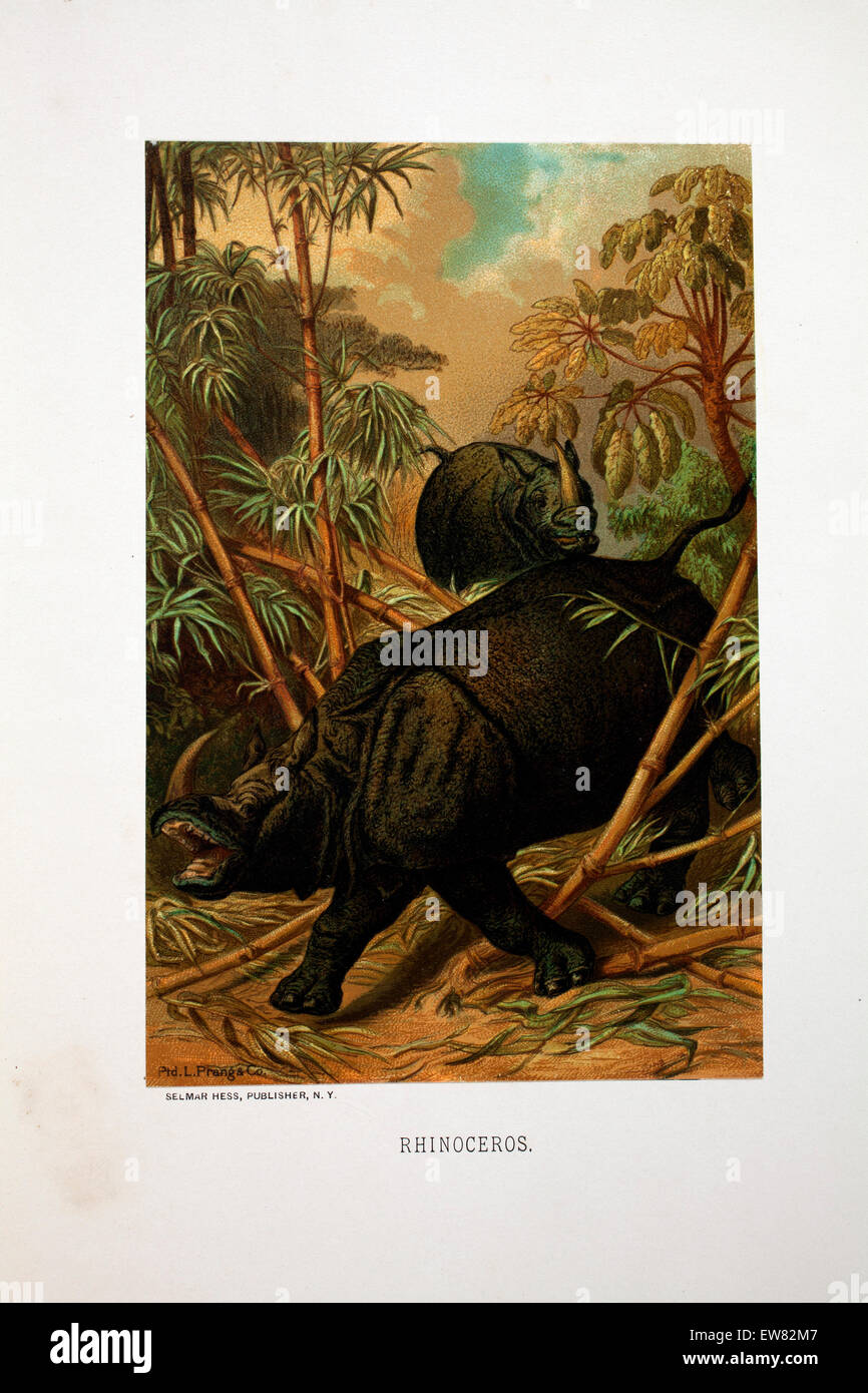 Vintage 1800s magazine hi-res stock photography and images - Alamy