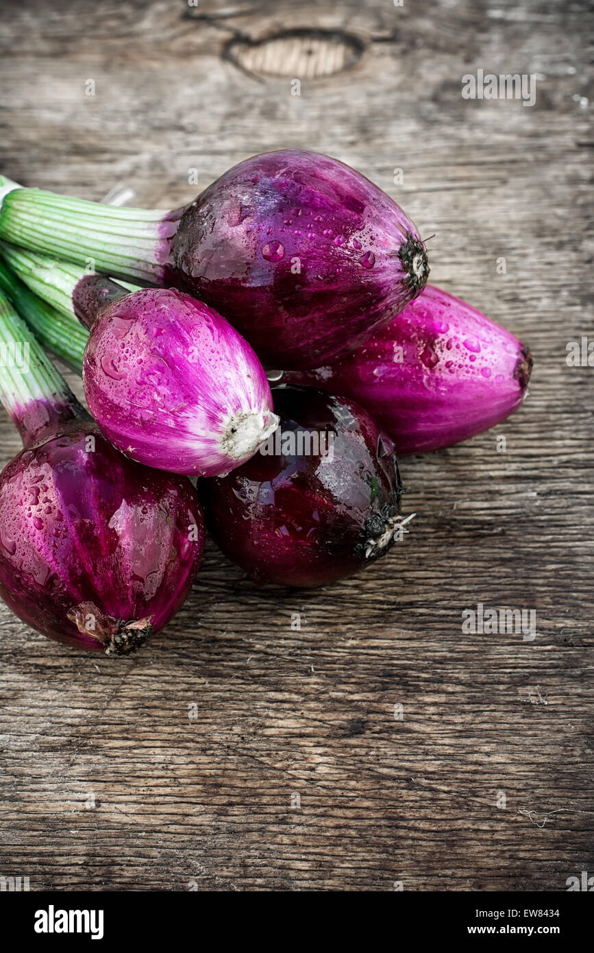 color onions on an iron plate in spray of water.Photo tinted Stock ...