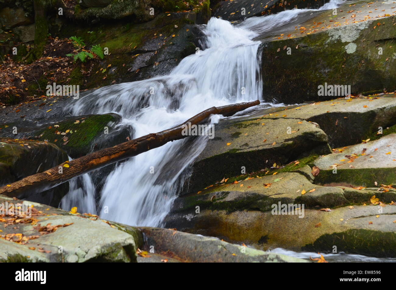 Waterfall cascading over log hi-res stock photography and images - Alamy
