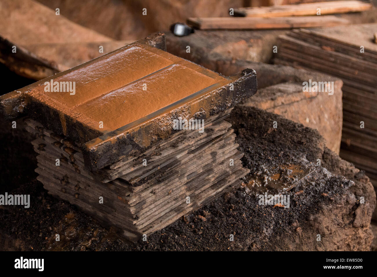 Mold mud hi-res stock photography and images - Alamy